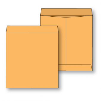 Teller Window Drive-up Banking Envelope - Sheppard Envelope