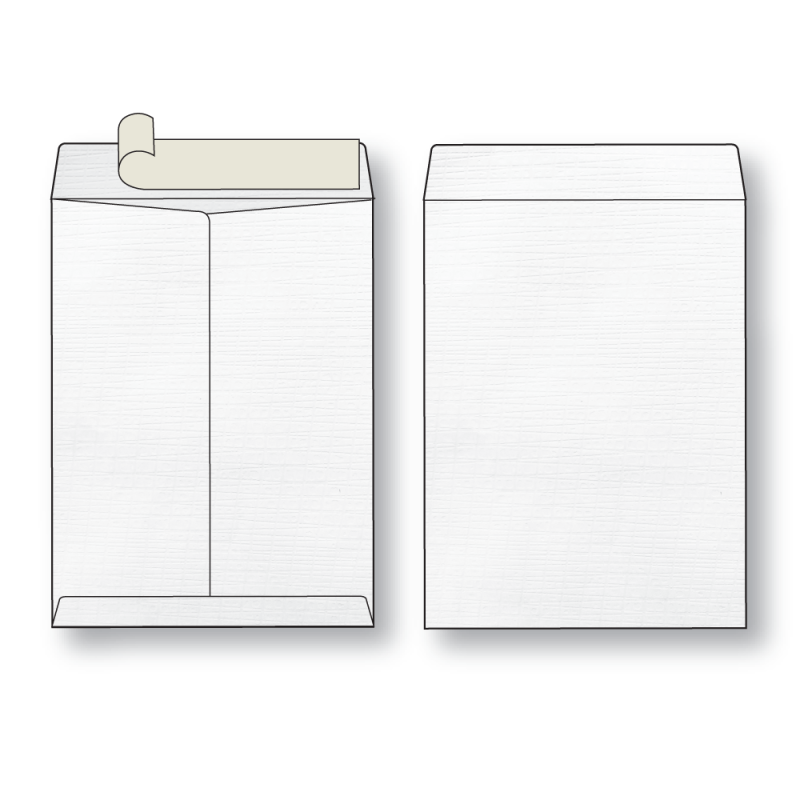 Tyvek Expansion Envelope Peel n Seal (open on long dimension ...